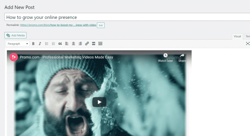 How to Embed Videos on Your Website: The Complete Guide - Promo.com